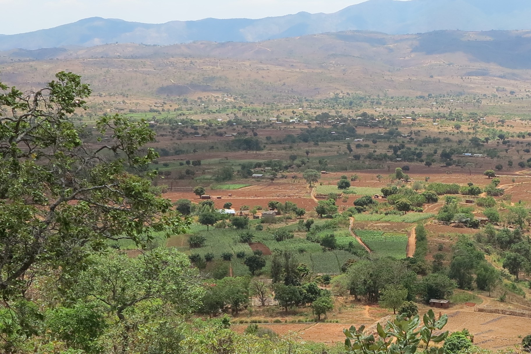 The power of water – Malawi Fruits