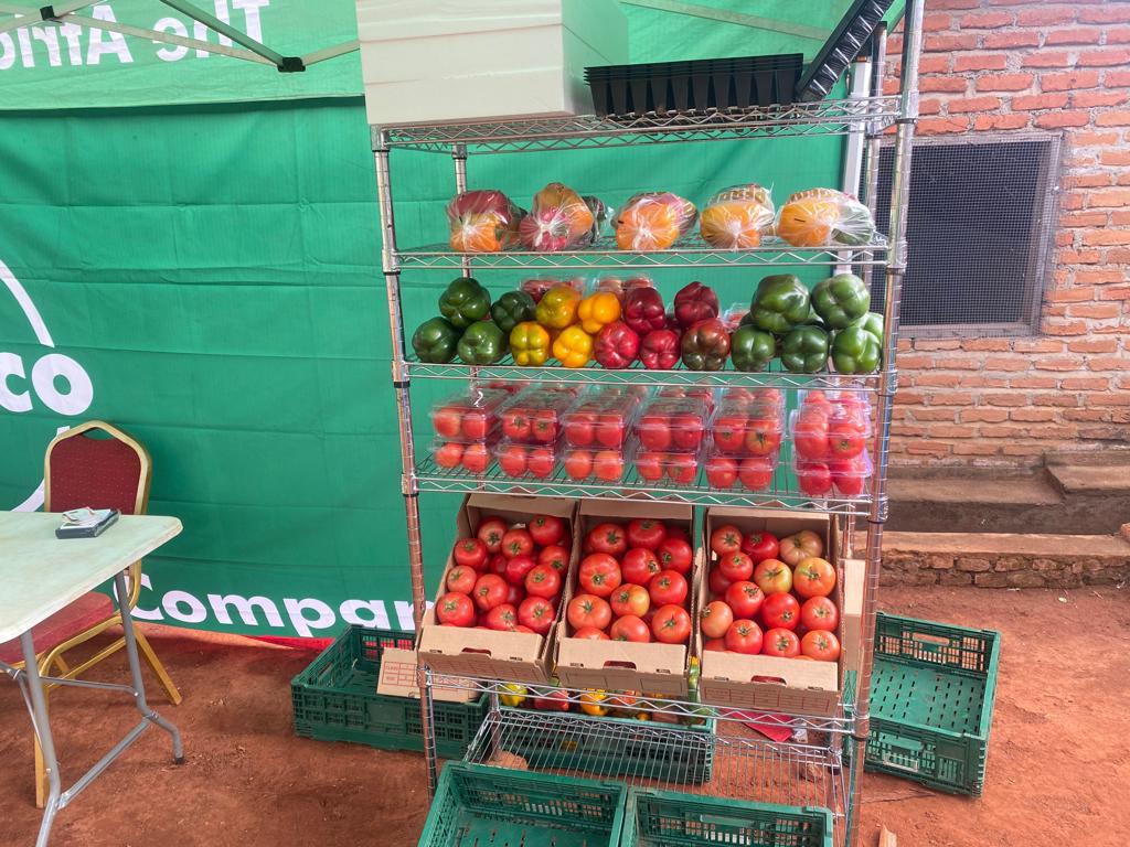 One step up and two steps back – Malawi Fruits