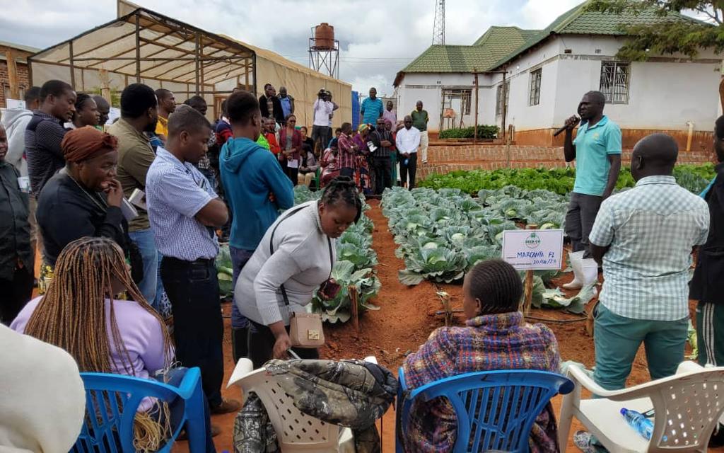 One step up and two steps back – Malawi Fruits