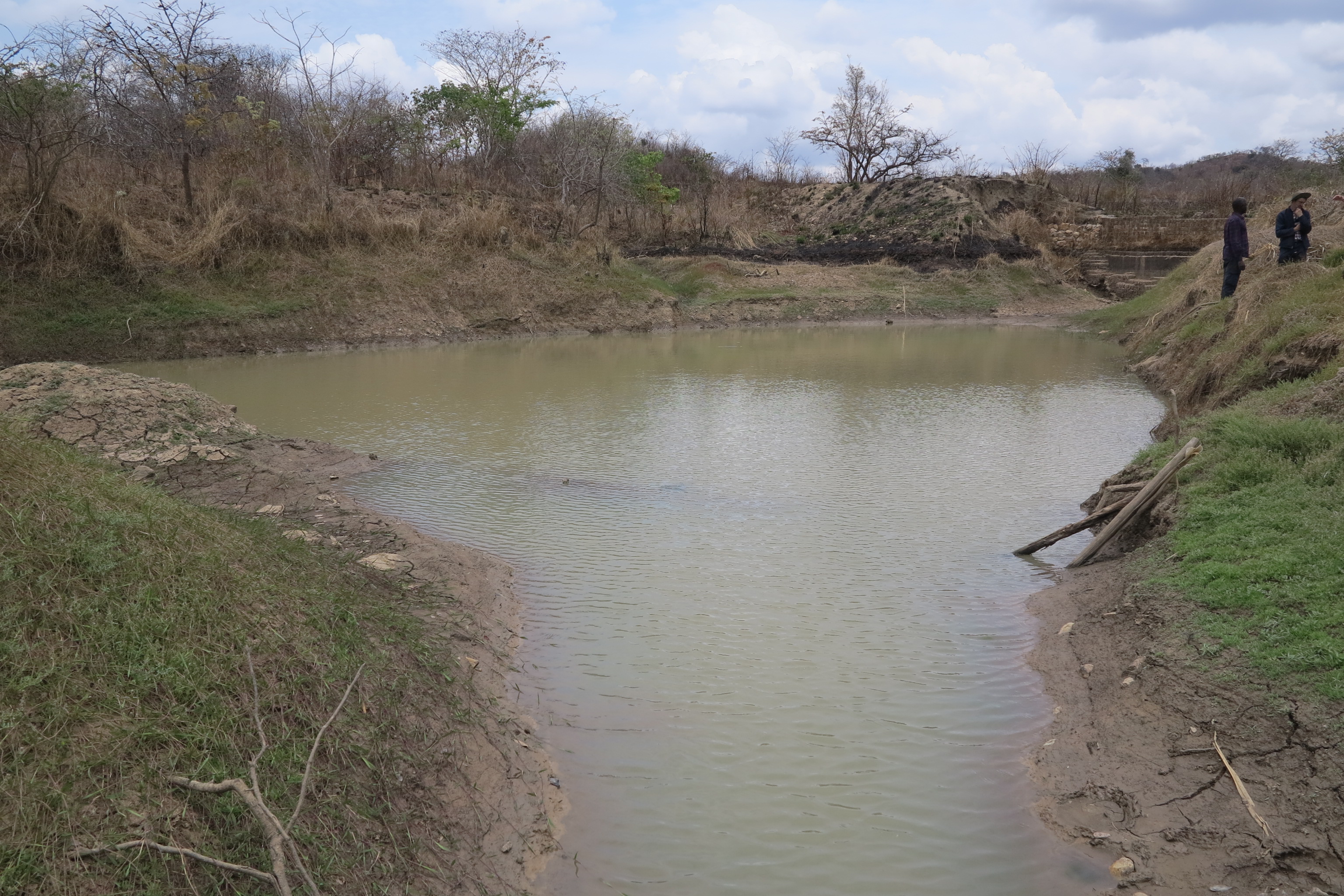 Modern Farming Technology in practice. – Malawi Fruits